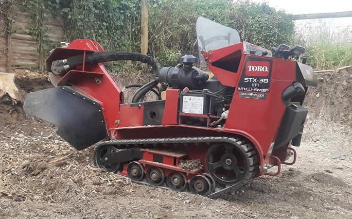 Tree stump removal and root grinding specialists in Oxfordshire | Stump ...